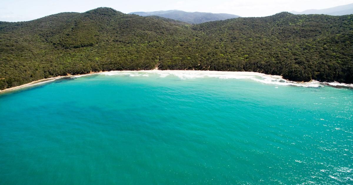 Cala Violina, la più bella e la più ricercata su Google | MaremmaOggi