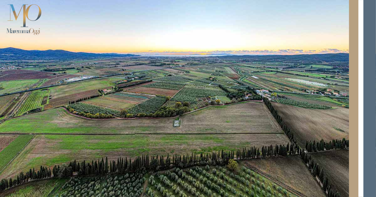 Il vino di Morisfarms che parla d'amore | MaremmaOggi