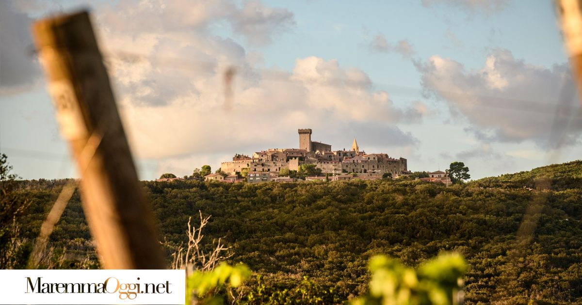 L'enoteca nel palazzo storico di Capalbio | MaremmaOggi