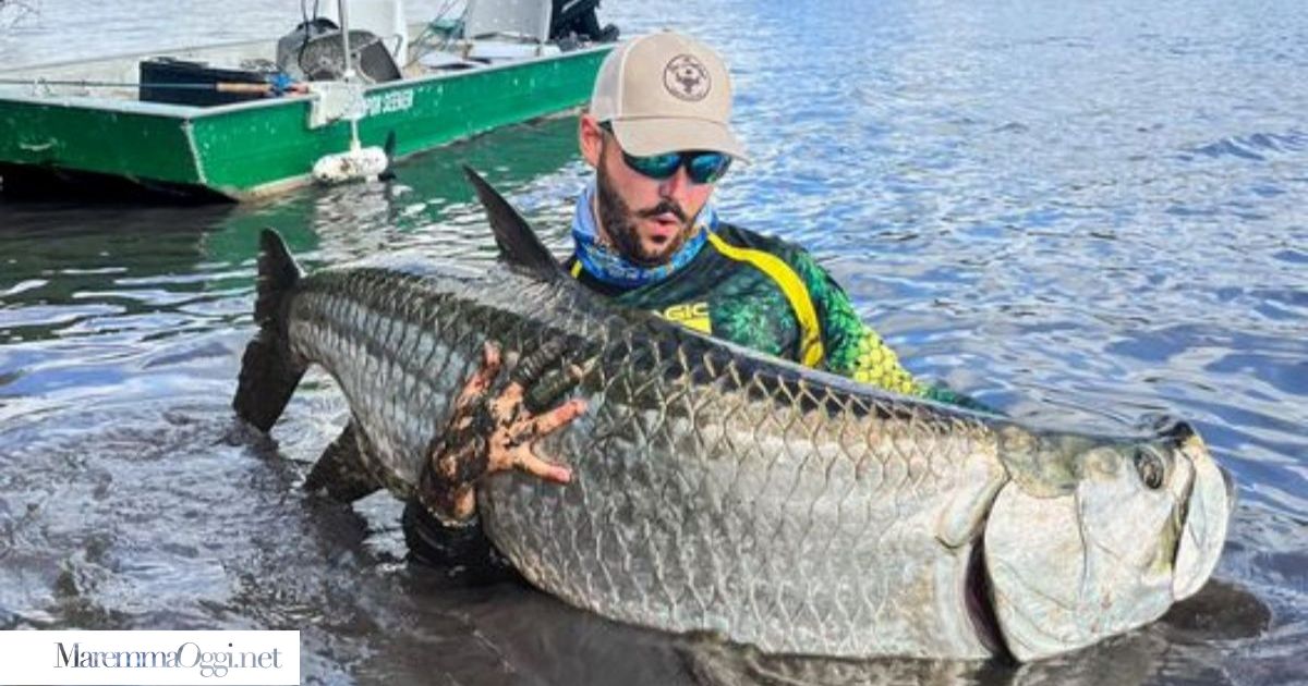 Guglielmo cattura un pesce da record | MaremmaOggi