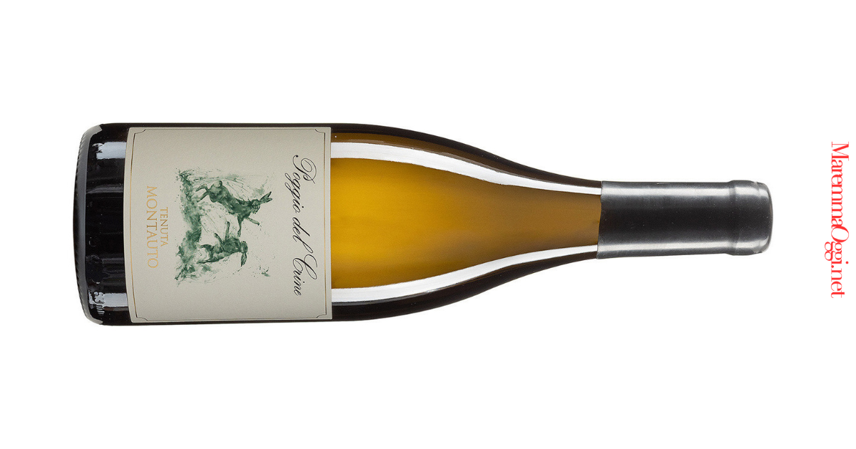 Il miglior Sauvignon d'Italia nasce in Maremma | MaremmaOggi