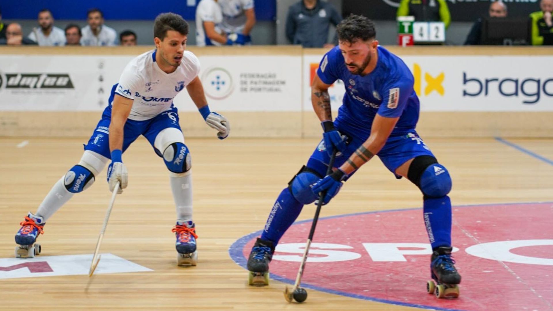 Hockey WSE: in Europa volano Follonica e Grosseto | MaremmaOggi