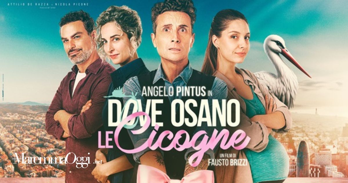 Il Cinemaniaco. Dove osano le cicogne - Tutti i film al cinema ...