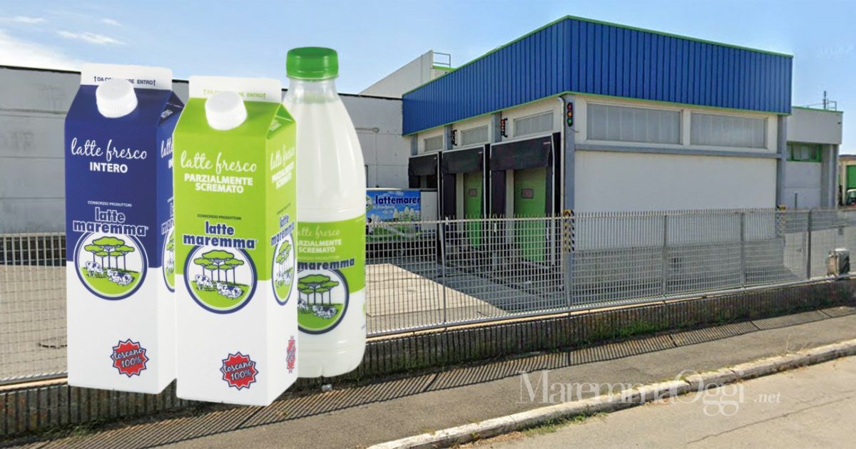 Latte Maremma passa a Granarolo, c'è l'accordo | MaremmaOggi