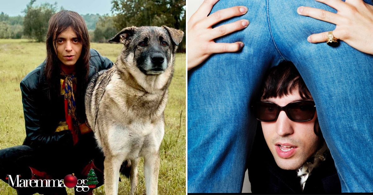 Lucio Corsi a Porto Ercole, il concerto si farà | MaremmaOggi