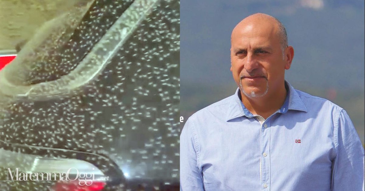 Il Comune contro gli "Influencer del moscino": «Avete fatto un danno ...