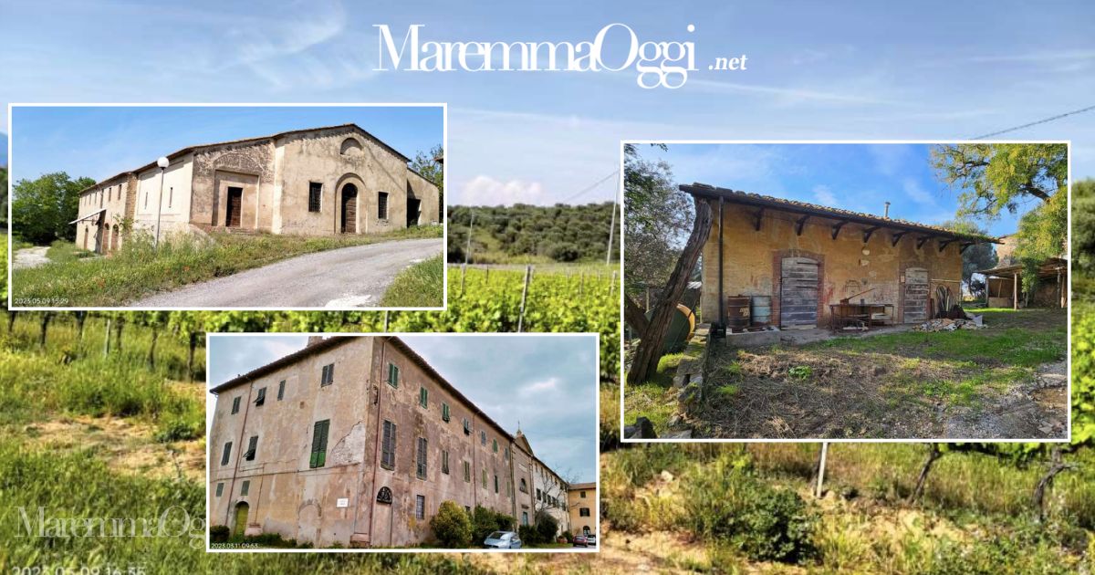 All'asta la storica tenuta di Vignale per 5 milioni di euro | MaremmaOggi