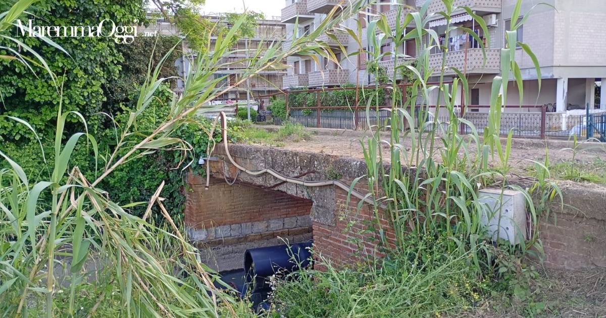 Il quartiere costruito sopra un fosso che puzza | MaremmaOggi