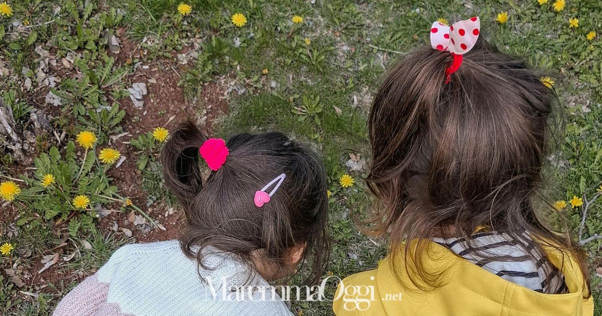 Chiusa la scuola nel bosco: stop alle attività, 12 bambini restano a ...