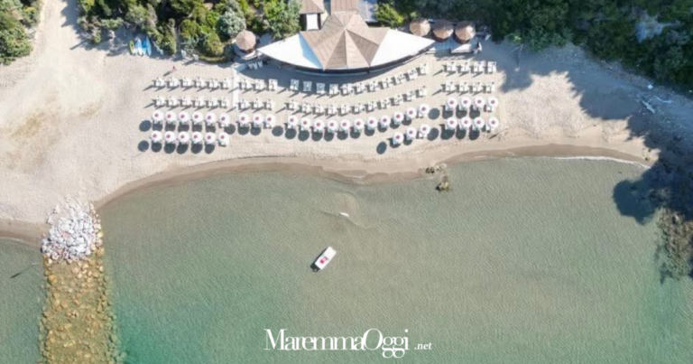 La spiaggia torna a crescere: a Punta Capezzolo i primi effetti del ...